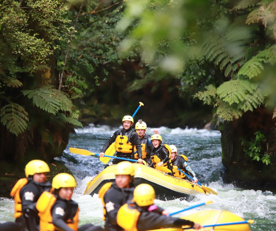 What Is a Gap Year? Meaning, Benefits and How to Plan One | Pacific Di