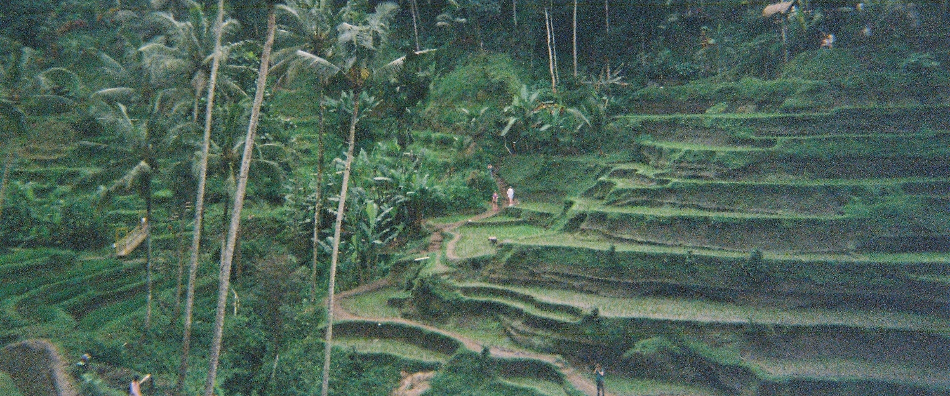 Gap Year Programs - Travel Abroad With Pacific Discovery
