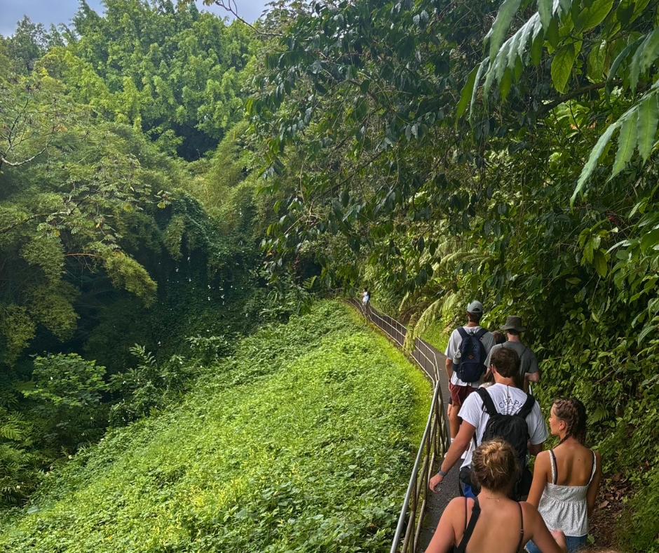 Polynesian Journey Gap Year Semester | Pacific Discovery