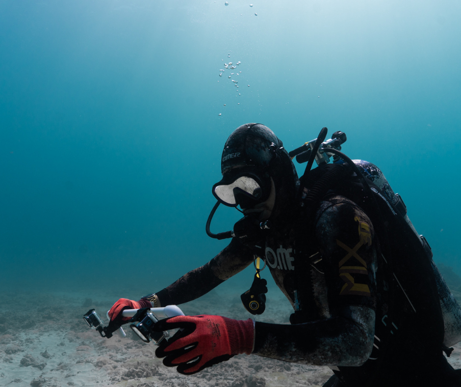 Hawaii Summer Program | Pacific Discovery